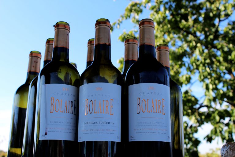 On a testé pour vous : les vendanges au Château Bolaire - Chronique ...