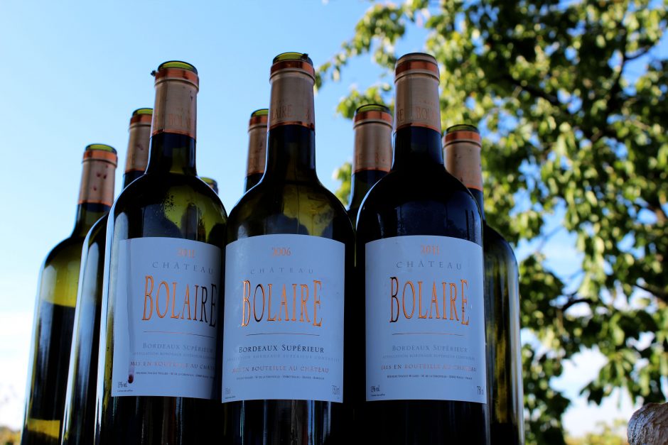 On a testé pour vous : les vendanges au Château Bolaire - Chronique ...